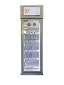 Frozen food vending machine